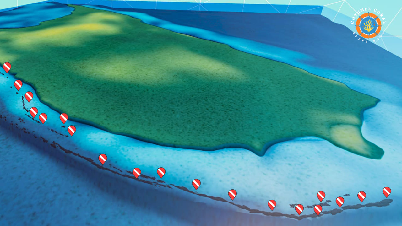 Cozumel Coral Reefs Map Cozumel Cruiseable